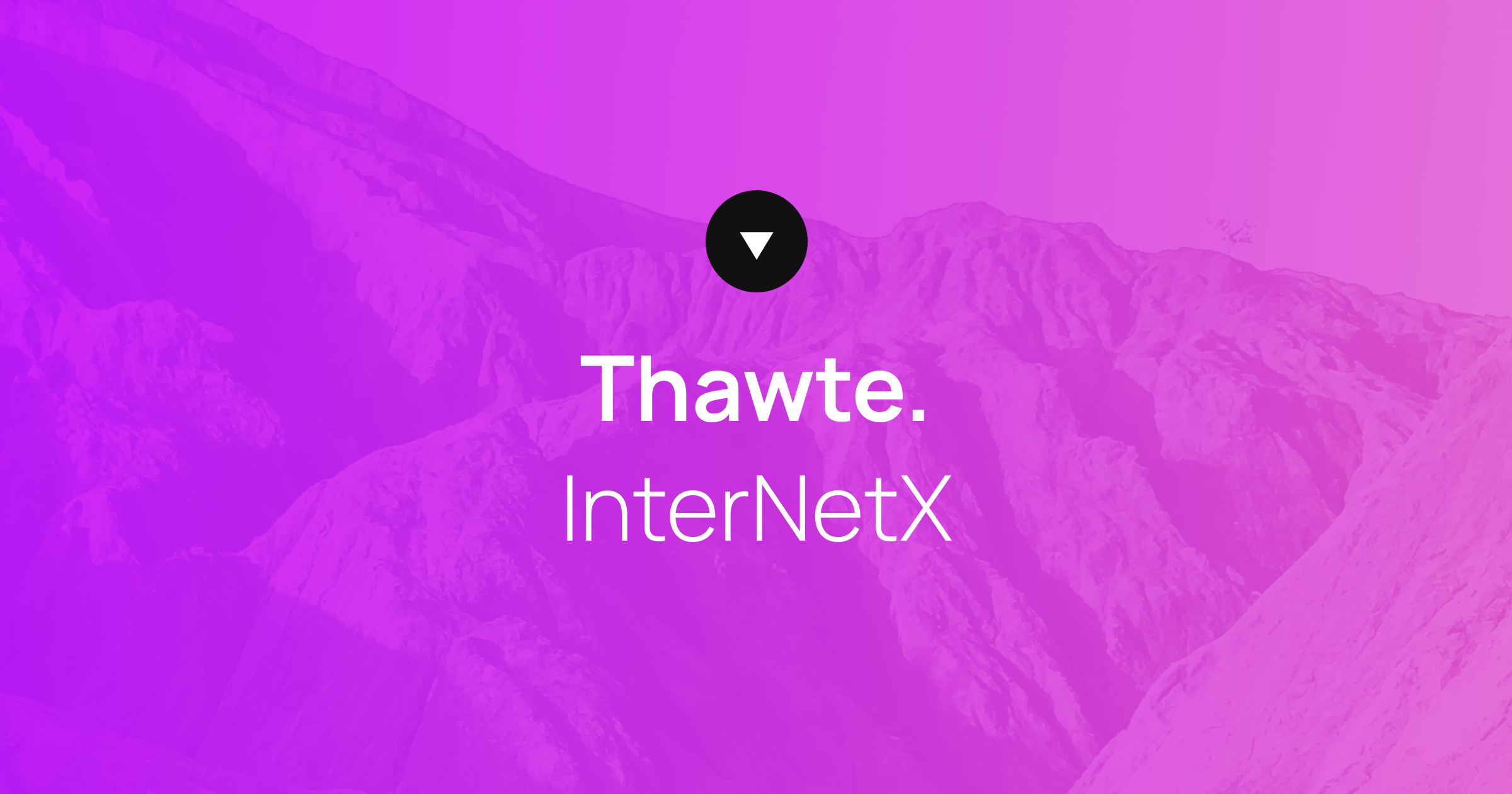 Thawte | Buy TLS/SSL certificates at best prices. And only at InterNetX.